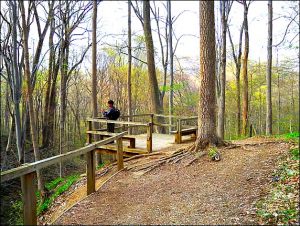 Turkey Run State Park Hiking Trails - Turkey Run State Park